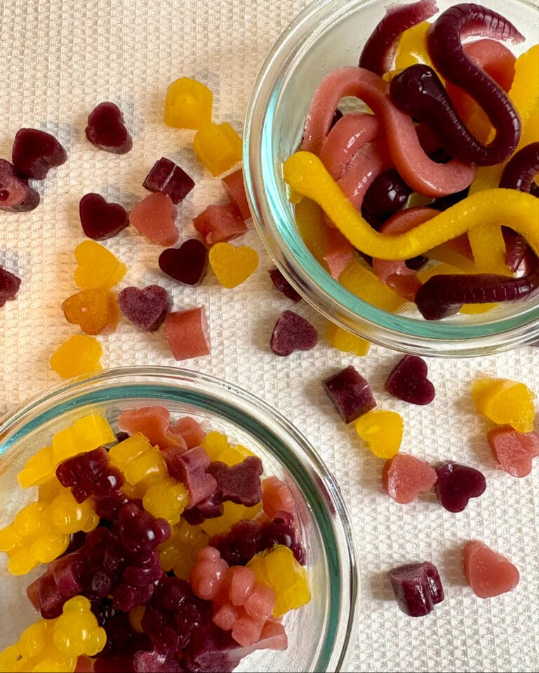 Real Fruit Gummies - Eating With Zion
